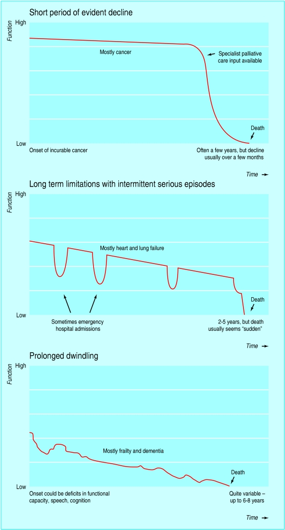 illness trajectoryと緩和ケア | マーブル色の医学的な結晶知